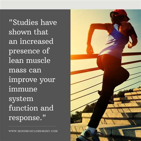7 Ways Lean Muscle Mass Affects Your Immune System M3 Fit