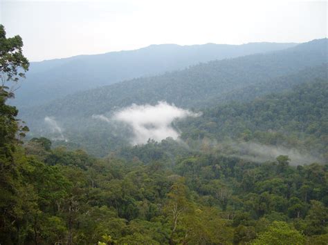 Batang Gadis National Park North Sumatra Indonesia