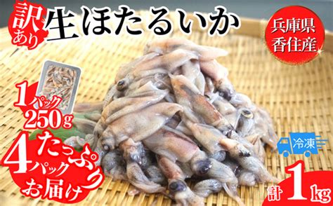 2024年新物【a級】生ホタルイカ（プロトン凍結） 1kg（250g×4パック）【送料無料】山陰沖産 冷凍 【いか】【イカ】【蛍烏賊