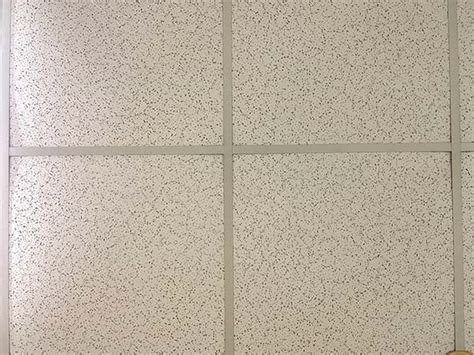 Life Lessons In Ceiling Tiles American Handgunner