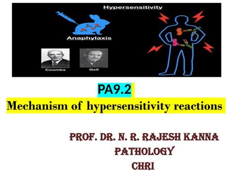 24856886 Hypersensitivity Reactions Pptx