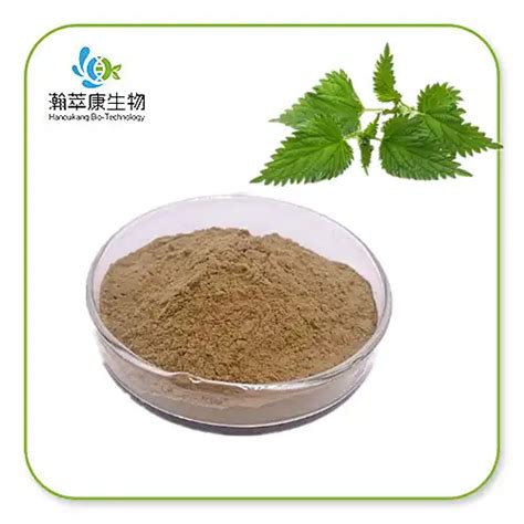 China Nettle Extract Powder Manufacturers Supplierswholesale Price