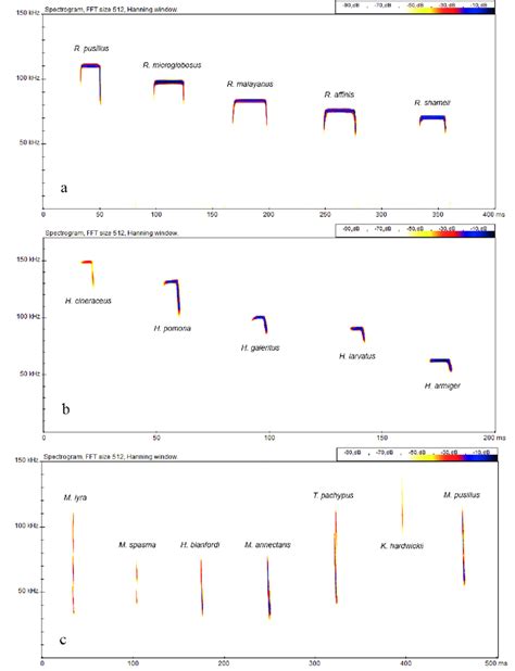 Echolocation Calls Of 17 Bat Species In Phnom Kulen National Park A