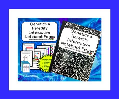 Genetics Interactive Notebook The Stem Center
