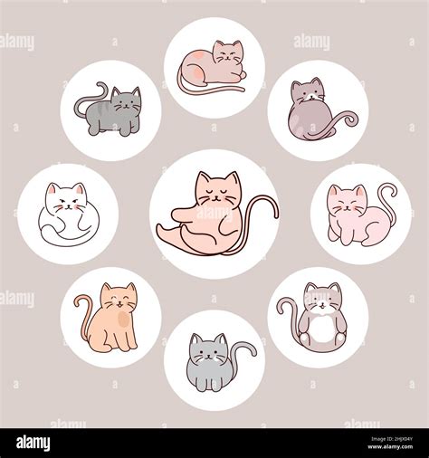 Set Cute Cats Stock Vector Image And Art Alamy