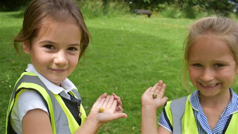 Chew Stoke Church School