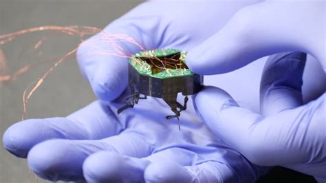This Cockroach Inspired Bot Squishes Into Tiny Spaces Popular Science