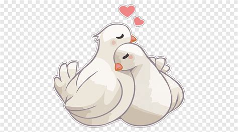 사랑 다른 사람 기타 심장 Png Pngegg