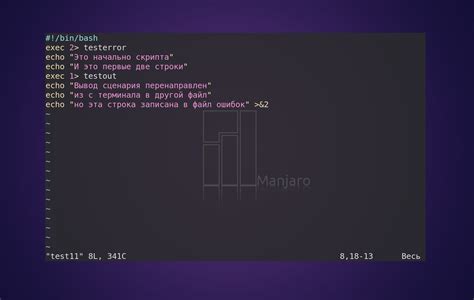 Вывод в файл Bash в Linux Losst