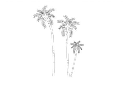 Tree Elevation Free Cads