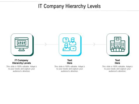 IT Company Hierarchy Levels Ppt Powerpoint Presentation Ideas Example File Cpb Presentation