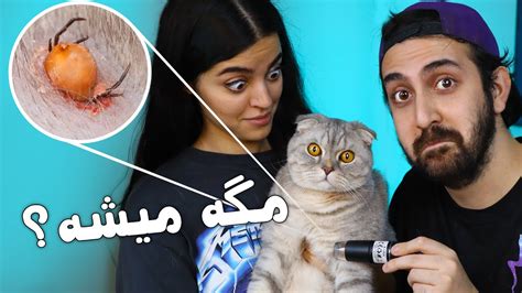 منو بابا سینا و مامان ختن با بچه میکروسکوپ😱😱 Youtube