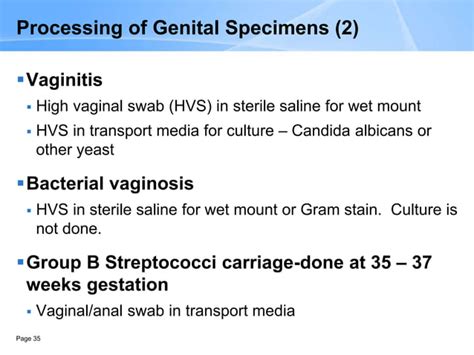 Specimen Processing Ppt