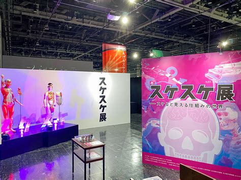 あんなところや、こんなところも。見えない部分が見える展覧会 ― 名古屋市科学館で「スケスケ展」 ニュース アイエム[インターネット