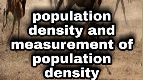 Population Density Definition