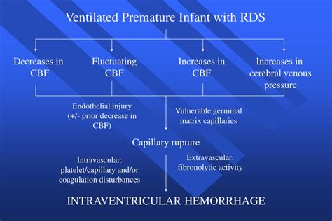 Ppt Intraventricular Hemorrhage Powerpoint Presentation Free