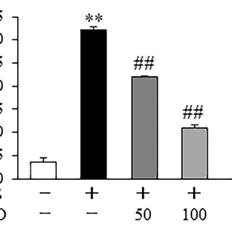 Effect Of Rso On Inflammatory Cytokine Content Of Lps Induced Raw 2647
