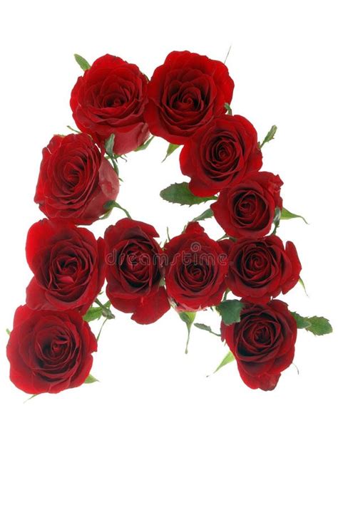 Roses Font Numbers Stock Photos Free Royalty Free Stock Photos