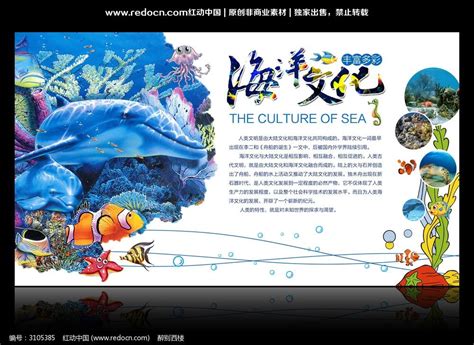 海洋文化宣传展板图片下载红动中国