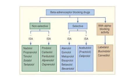 Beta Blockers In Cardiology Practice
