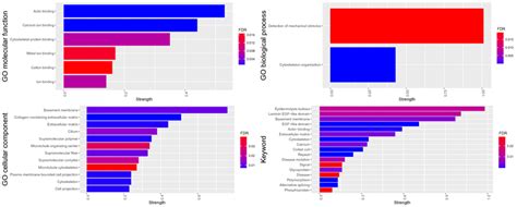 GO Term Analysis Of The Most Affected Genes In Our Study In The Figure Download Scientific