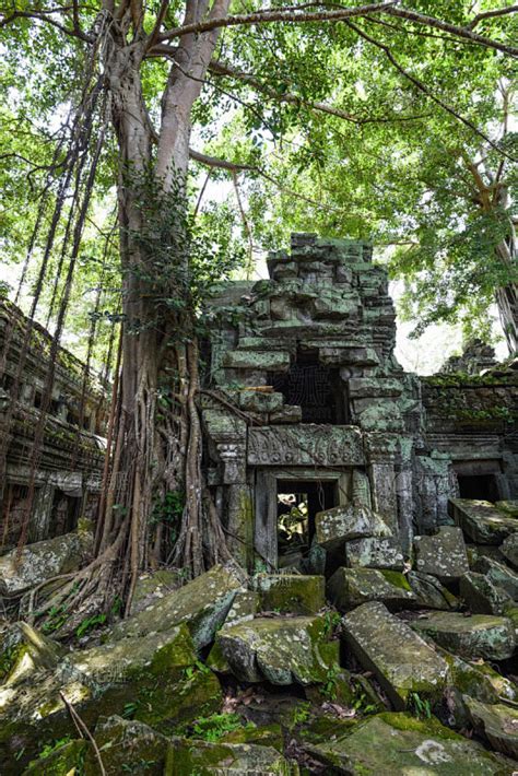 柬埔寨 寺庙 吴哥窟 古墓丽影 垂直画幅 旅游目的地 建筑 无人 亚洲 世界遗产
