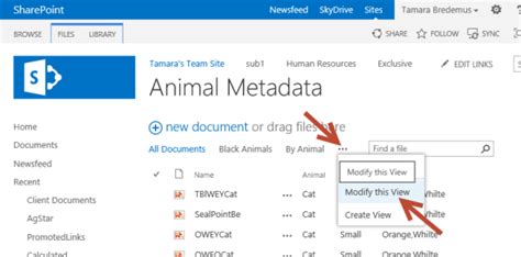 Links To Additional Views Disappear In Sharepoint 2013 When Ootb Style