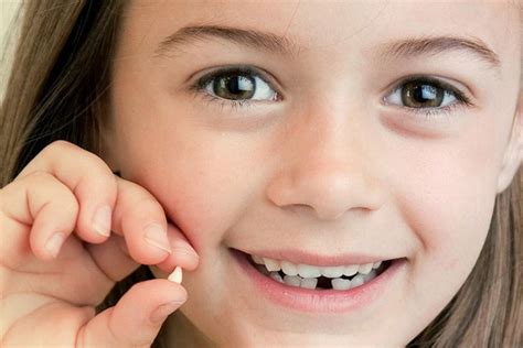 افتادن دندان تستچی