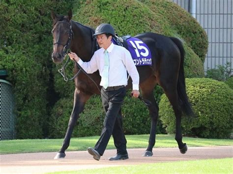 コントラチェック近況19年10月29日 少数精鋭で重賞制覇をめざす