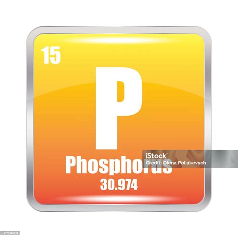 Phosphorus Element Symbol P Abbreviation Atomic Number 15 Atomic Mass 30974 Stock Illustration