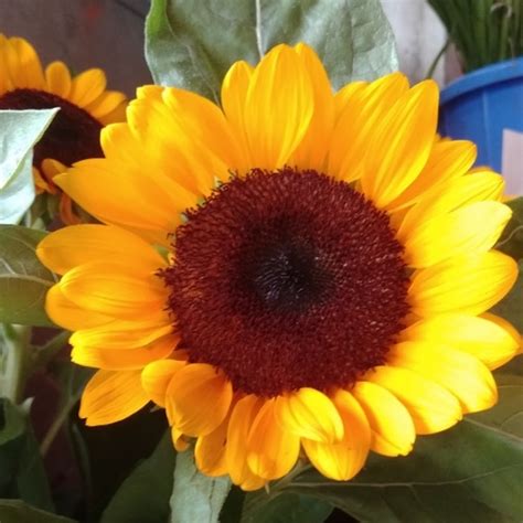 Md Mithu Khan Youtube