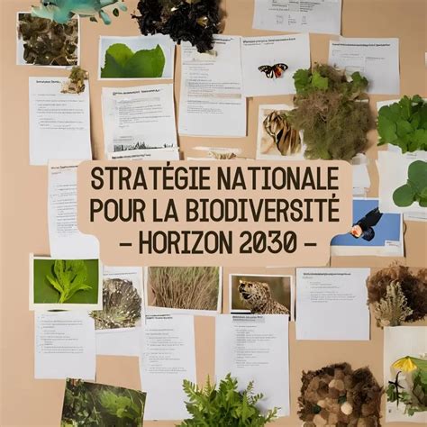 Votre Avis Compte La Stratégie Nationale Pour La Biodiversité Horizon
