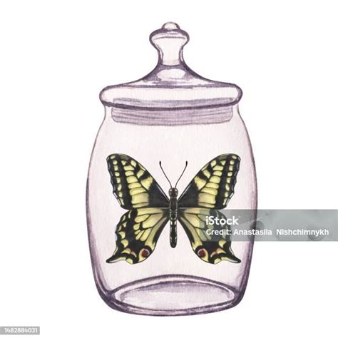 투명한 유리병 안에 나비가 들어 있다 손으로 그린 수채화 그림은 흰색 배경에 분리되어 있다 엽서 포스터 스티커 지문 나비에 대한