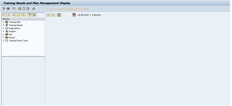 HRTNM REPDIS SAP Tcode TNM Transaction Display Mode