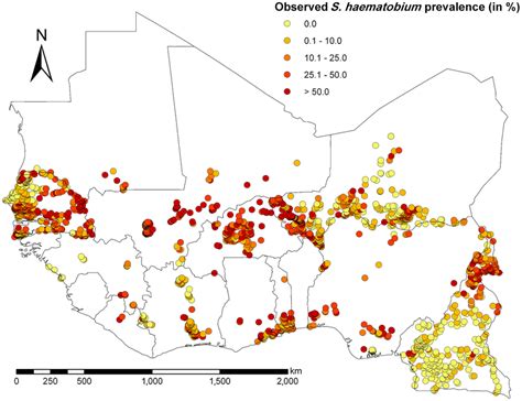Observed S Haematobium Prevalence In West Africa Observed Prevalence