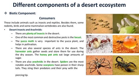 Ecosystem Types Pptx