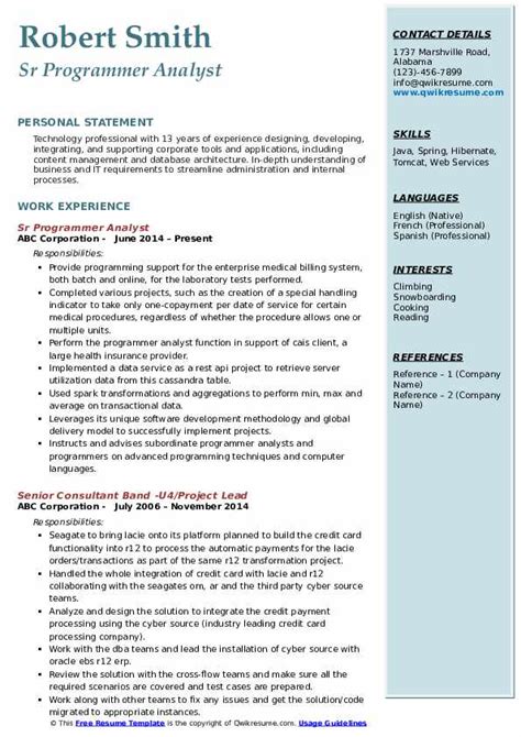 Programmer Analyst Resume Samples Templates For
