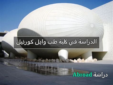 كلية طب وايل كورنيل شروط القبول، الرسوم، وكيفية التقديم الدراسة في