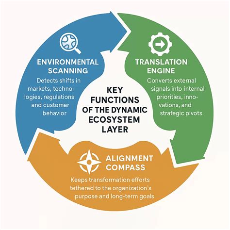The Key Functions Of The Dynamic Ecosystem Layer