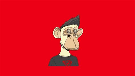 Bored Ape Wallpapers Wallpaper Cave