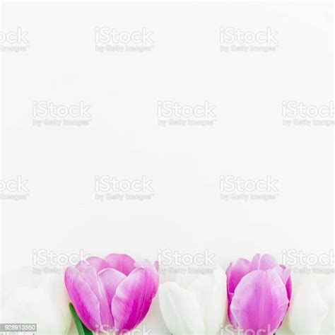 흰색 바탕에 튤립 꽃 꽃 구성입니다 봄 시간 꽃입니다 평면 위치 최고 볼 수 있습니다 0명에 대한 스톡 사진 및 기타 이미지