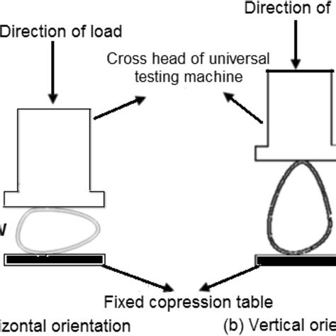 Crushing Load Testing Machine As Described By Khodabakhshian Et Al¹⁴