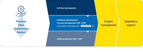 Regulatory Affairs Consulting