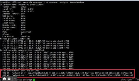Dpu Ipsec