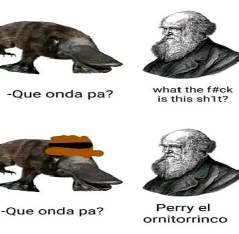 Pin De Maria Elena Rodriguez Blas En Jajajajaja XD Memes Divertidos