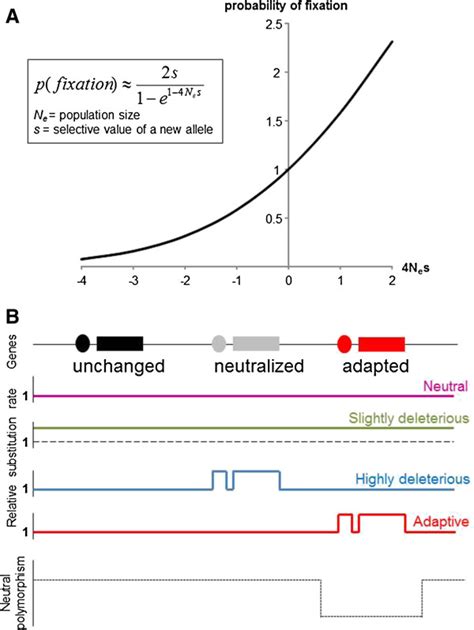 Effect Of Population Size And Environmental Modifications On The Download Scientific Diagram