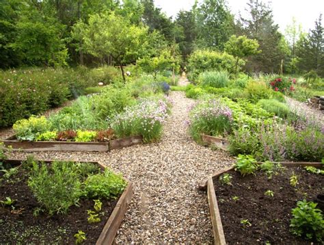 Créer un jardin de simples aromatiques médicinales plantes utiles
