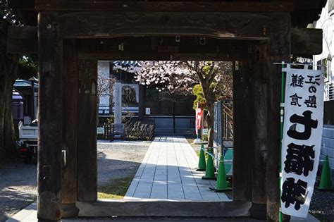 鎌倉七福神寿老人長寿の神小町の妙隆寺 鎌倉トリップ 日帰りで初夏の鎌倉へ