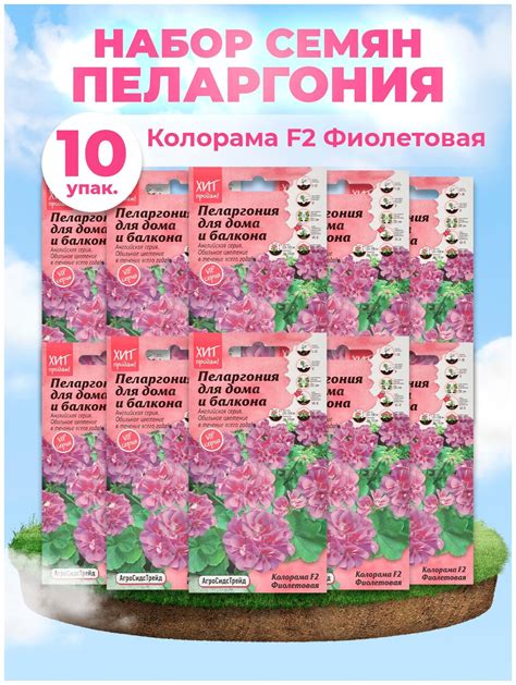 Набор семян Пеларгония Колорама F2 Фиолетовая для дома и балкона 5 шт ...