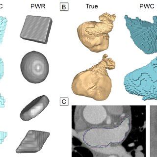 A Results On Selected Test Examples From Synthetic Dataset B Results Download Scientific